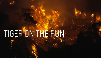 Watch the latest web series and TV shows from 30+ OTT apps only on Tata ...