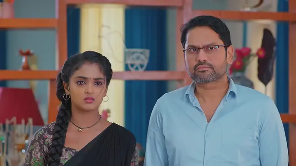 Watch Meghasandhesham S1 E178 - Pooja Asks Chandra Not to Transfer His ...