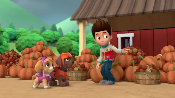 Watch Paw Patrol S1 E11 - Pups on ice on Hotstar with Tata Play Binge