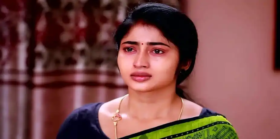 Watch Peranbu S1 E175 - Sundaram Learns about Vanathi's Problems on ...