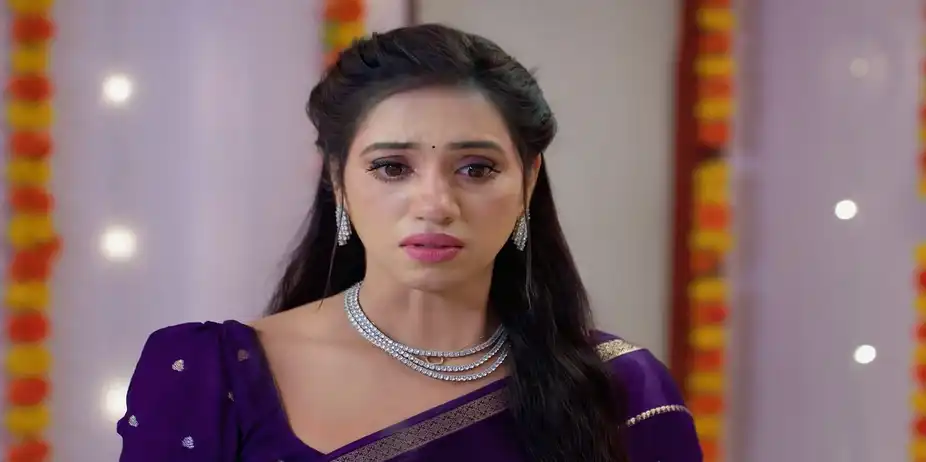 Watch Karthigai Deepam S1 E761 - Maya Instigates Revathi Against Raja ...