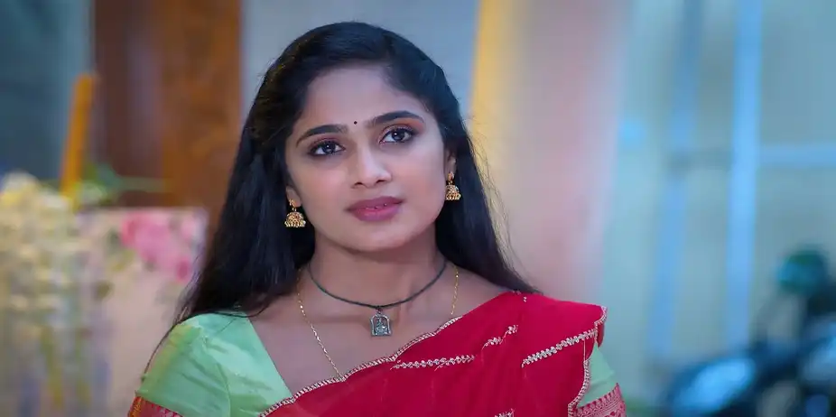 Watch Ayali S1 E31 - Ayali Tries to Find the Ring on Zee5 with Tata ...