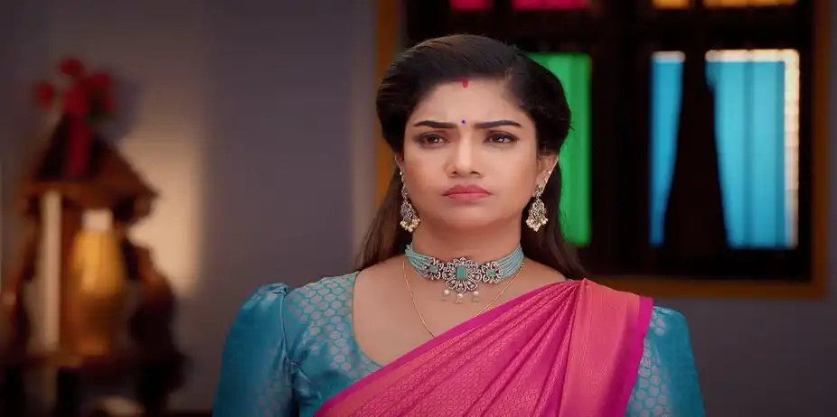 Watch Karthigai Deepam S1 E903 - Chandrakala Follows Mayilvahanam and Rohini on Zee5 with Tata ...