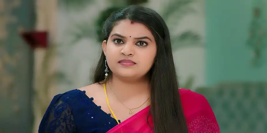 Watch Ashwathi Nakshatram S1 E477 - Niharika's Confession about Swamiji ...