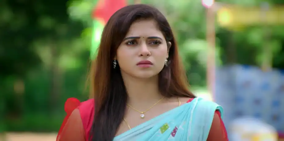 Watch Sandhya Raagam S1 E720 - Raghuram Opposes Vasundharadevi on Zee5 ...