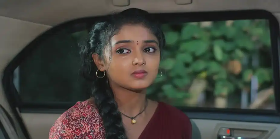 Watch Meghasandhesham S1 E178 - Pooja Asks Chandra Not to Transfer His ...