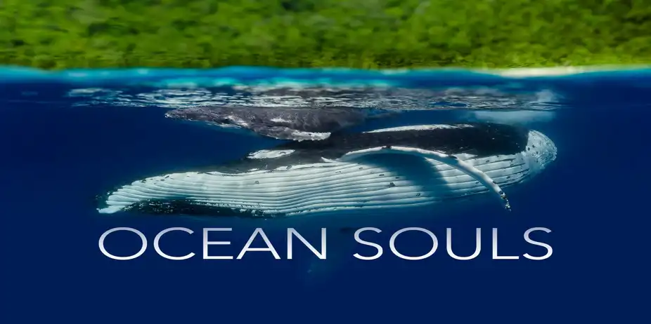 Watch Ocean Souls on CuriosityStream with Tata Play Binge