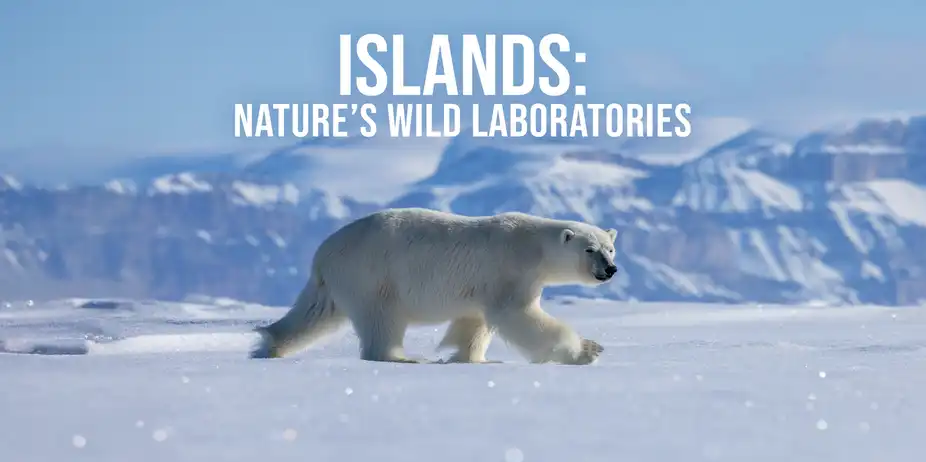 Watch Islands : Nature's Wild Laboratories on DiscoveryPlus with Tata ...