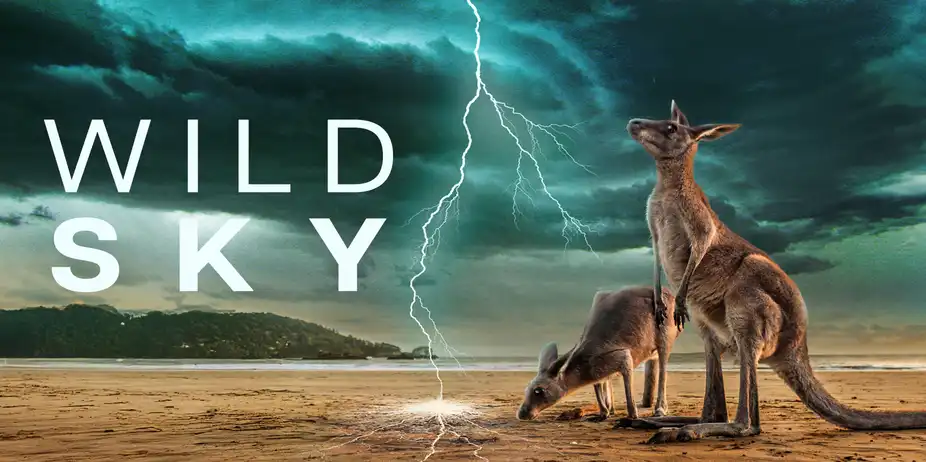 Watch Wild Sky on DiscoveryPlus with Tata Play Binge