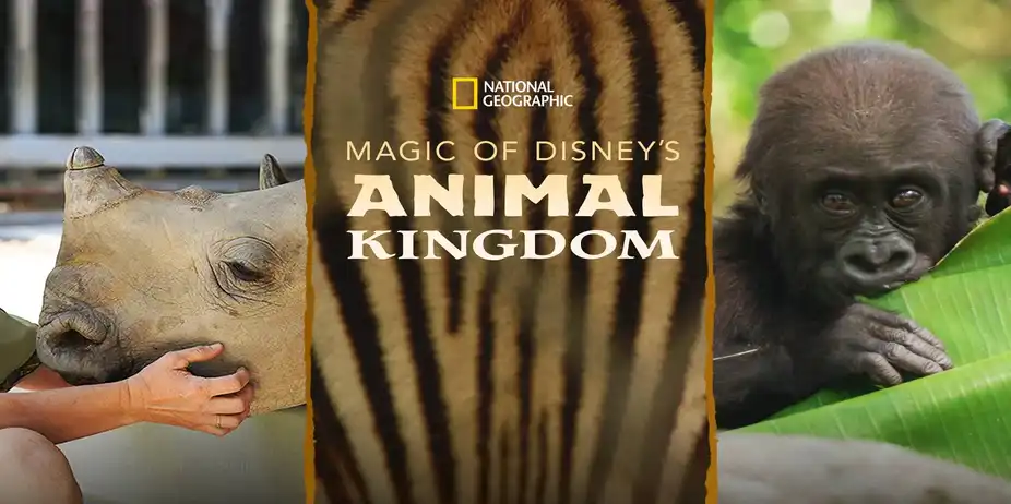 Watch Magic of Disney's Animal Kingdom on JioHotstar with Tata Play Binge