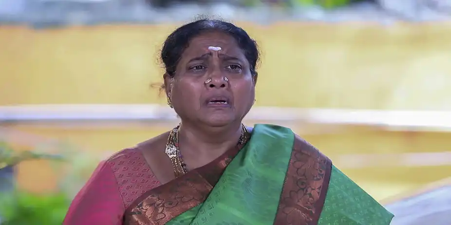 Watch Pandian Stores 2 S2 E644 - Gandhimathi's Pain Runs Deep on ...