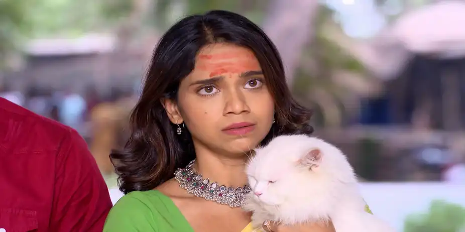 Watch Boss Majhi Ladachi S1 E76 - Rajeshwari Enters Mihir's House and ...